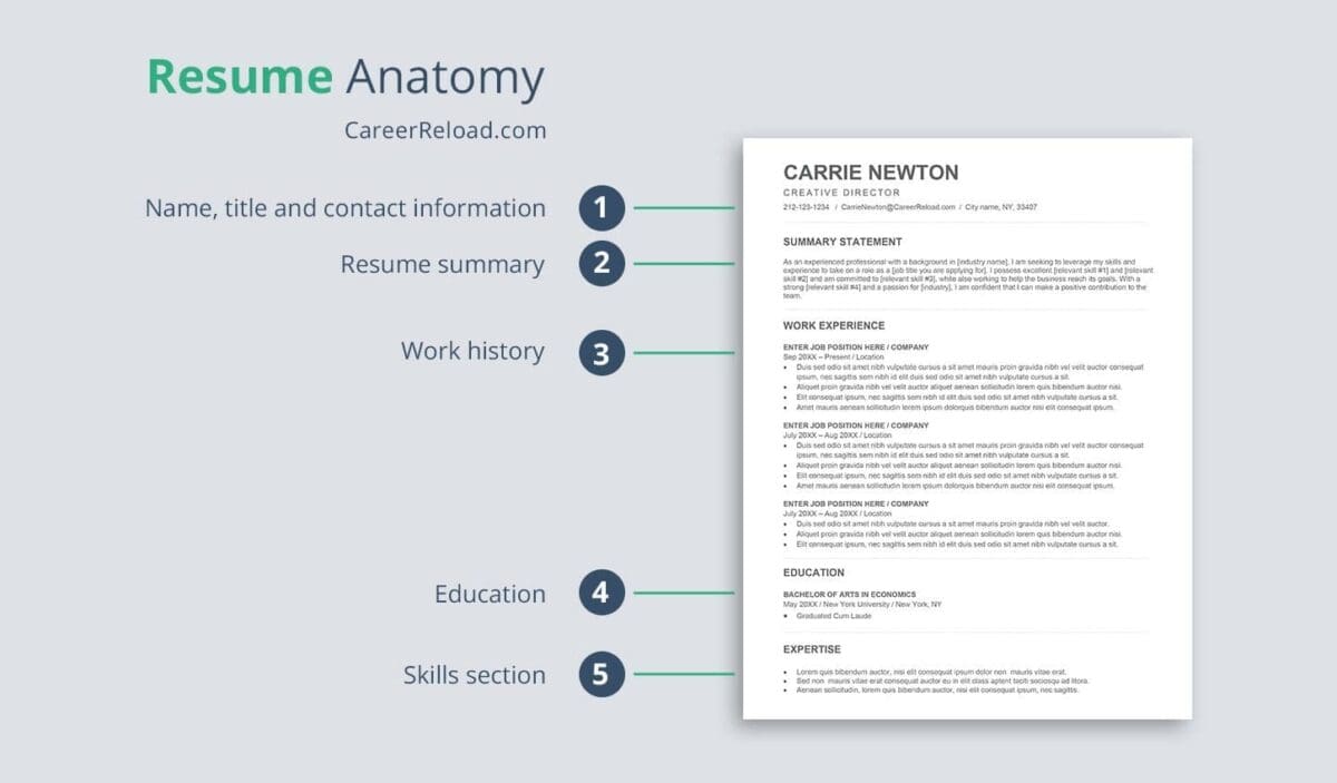 Resume Sections: How to Organize Them