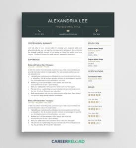 Free Resume Form Template - Instant Download