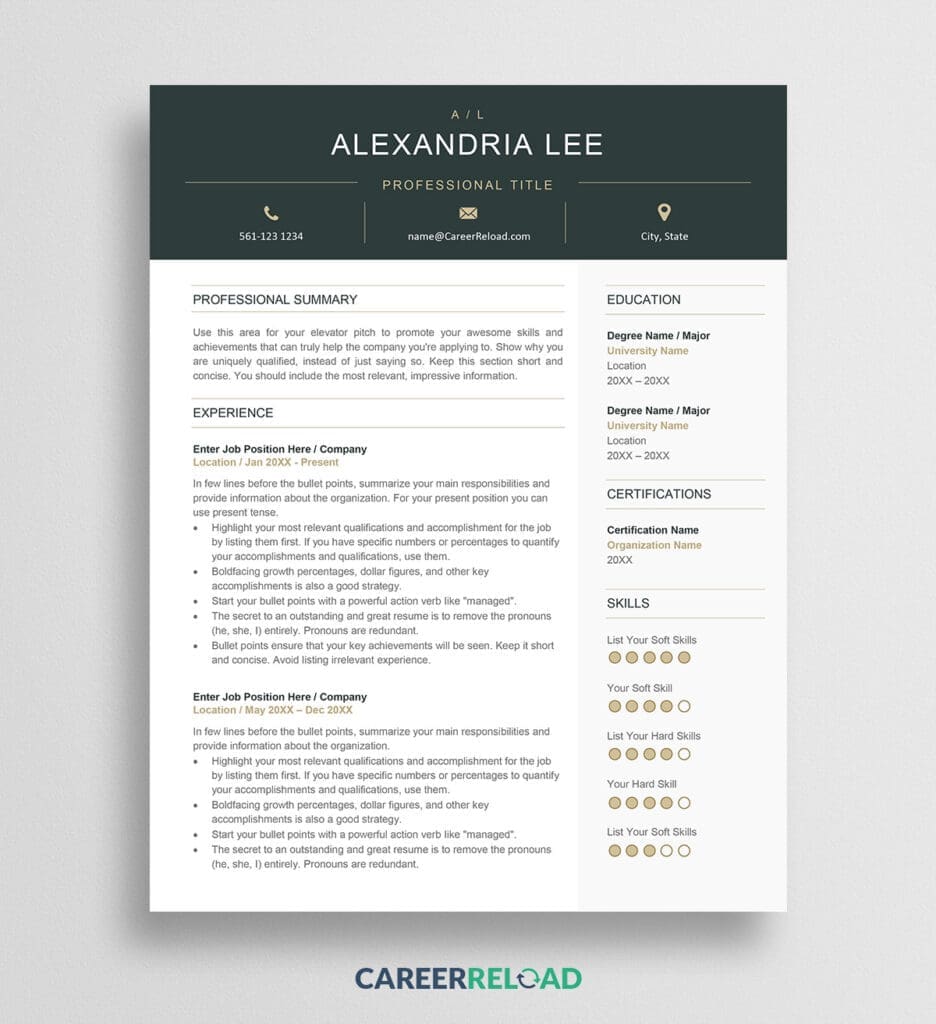 Free Resume Form Template - Instant Download