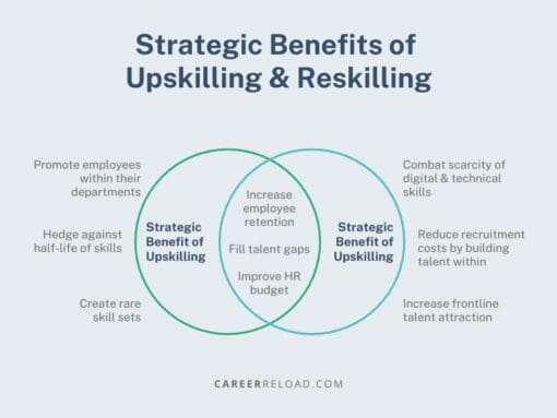 Reskilling and Upskilling as a Strategy for Changing Skill Demands